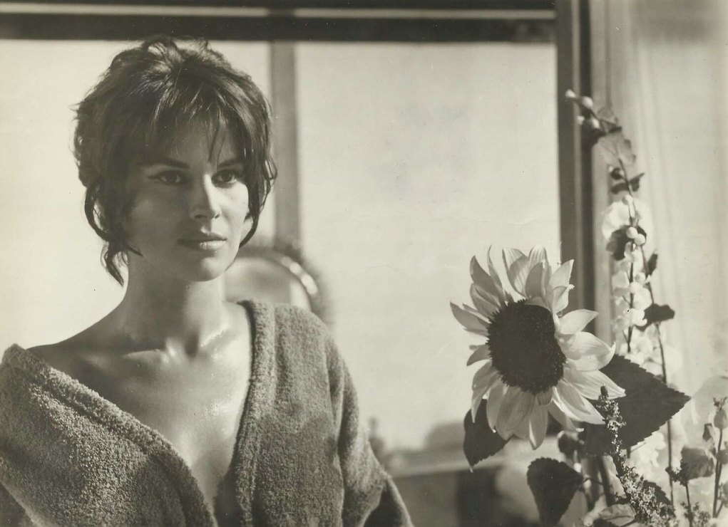 Picture of Madeleine Robinson