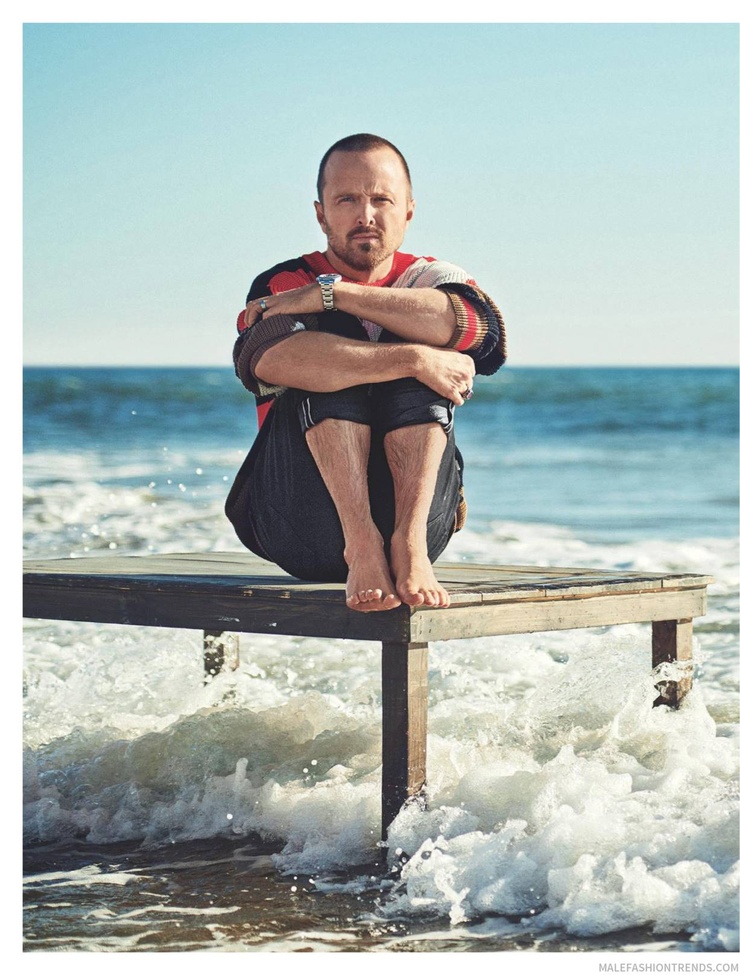 Picture of Aaron Paul