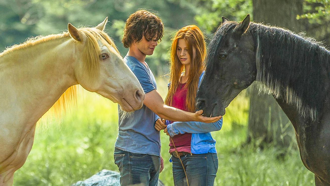 Picture of Ostwind 2