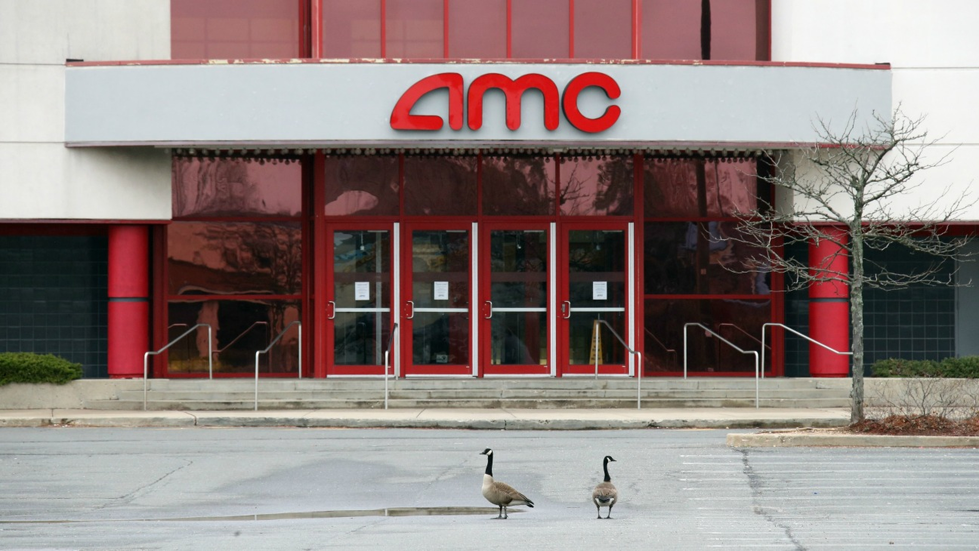 Picture of AMC Theatres