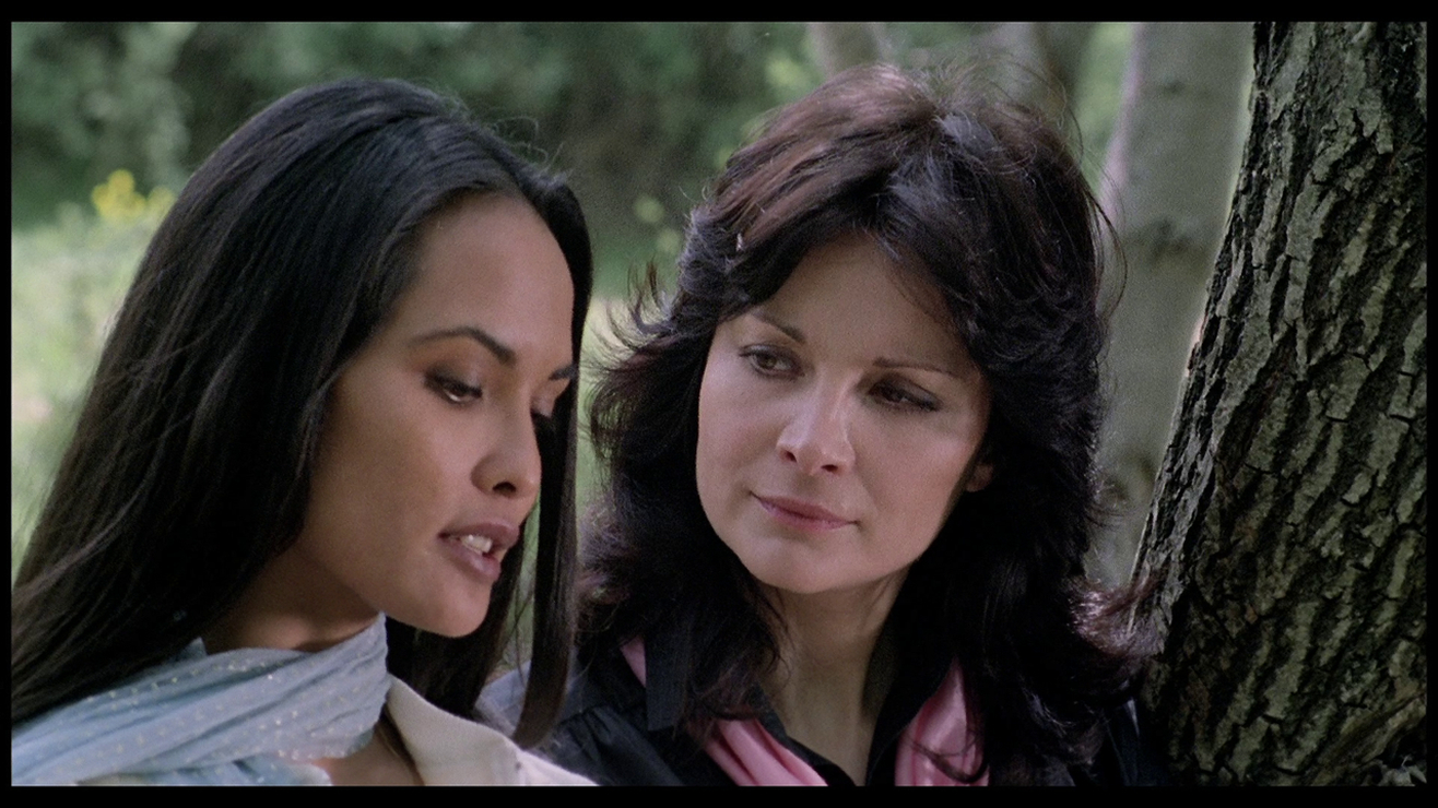 Murder Obsession picture