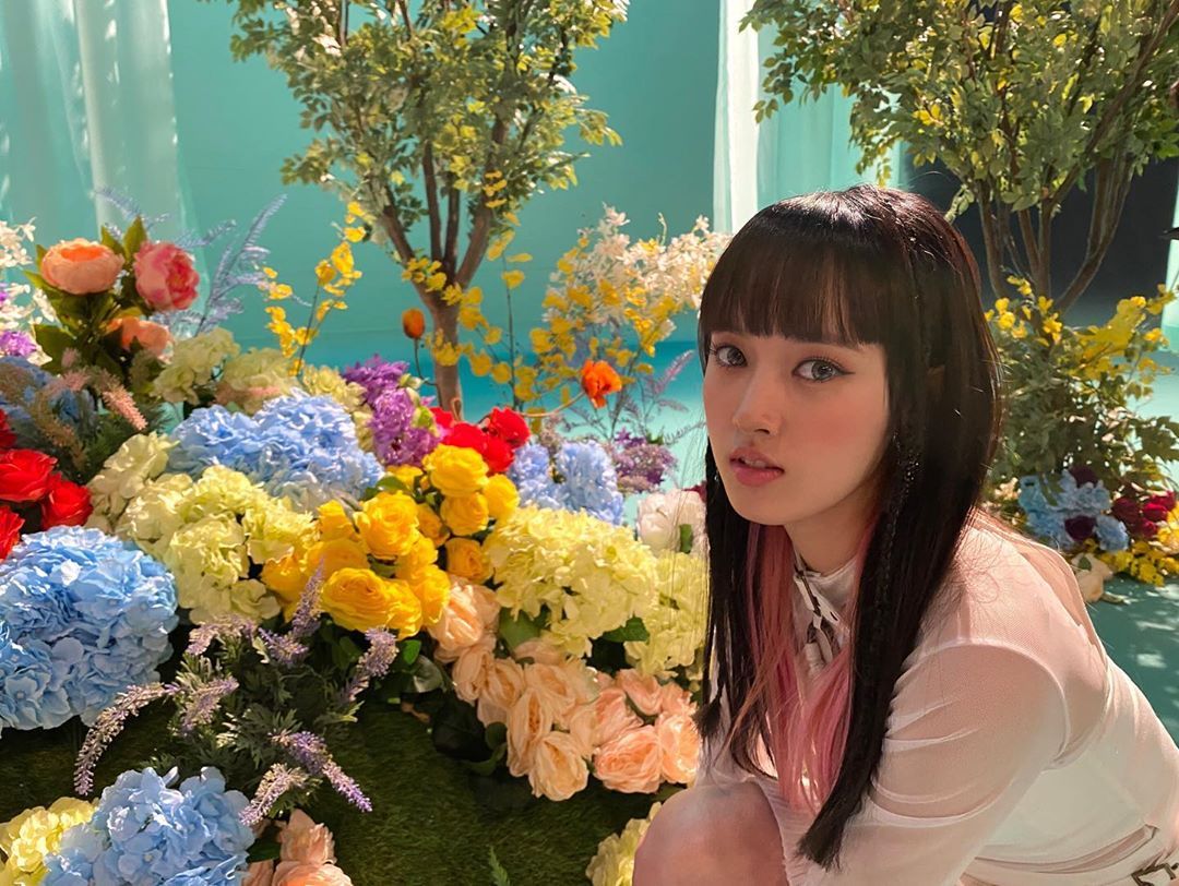 Picture of Sei (세이)