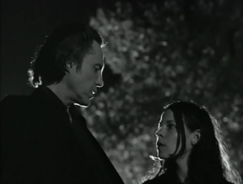 Picture of The Addiction (1995)