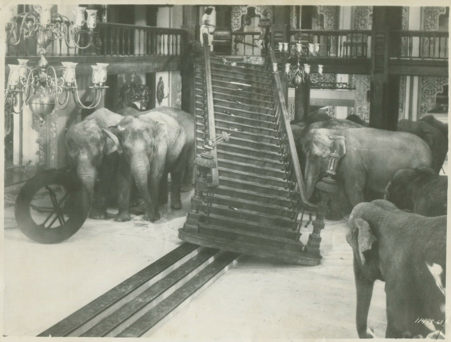 Picture of Elephant Walk