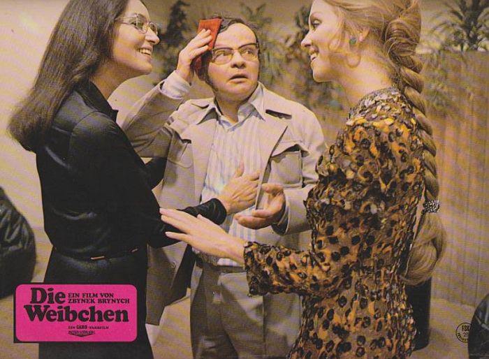 Image of Die Weibchen