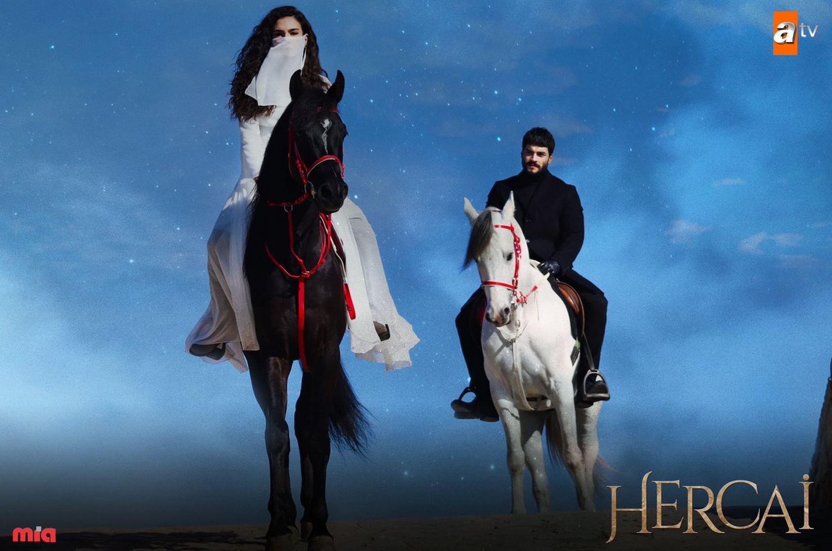 Picture of Hercai