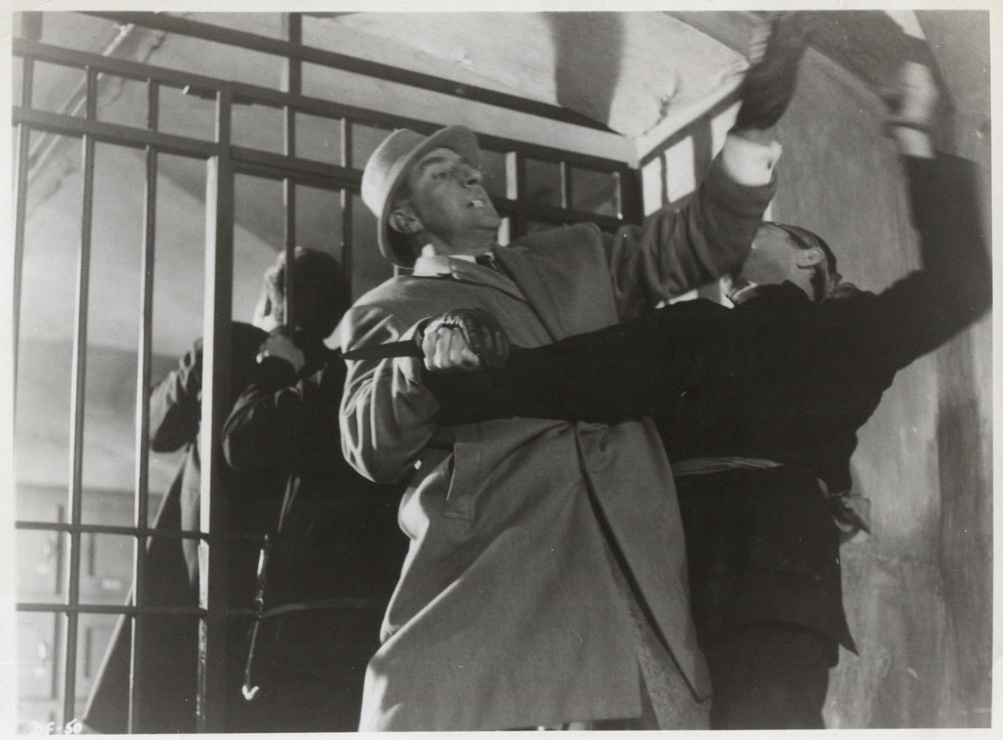 Picture of The Face of Fu Manchu