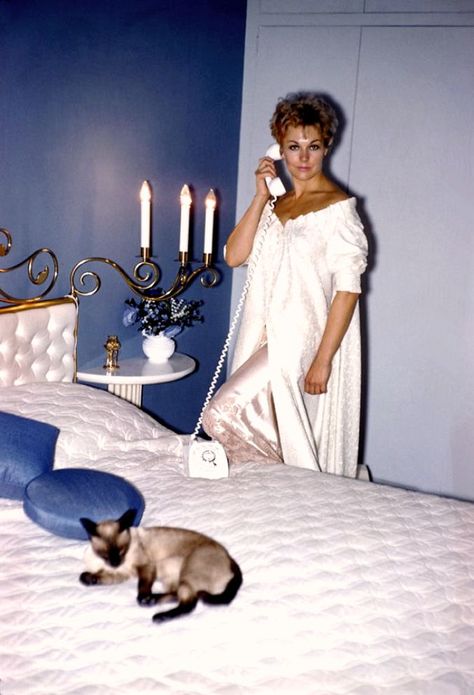 Kim Novak picture