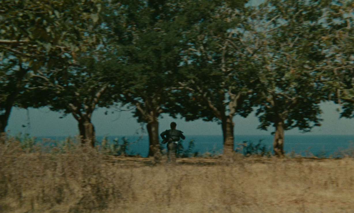 Picture of Z (1969)