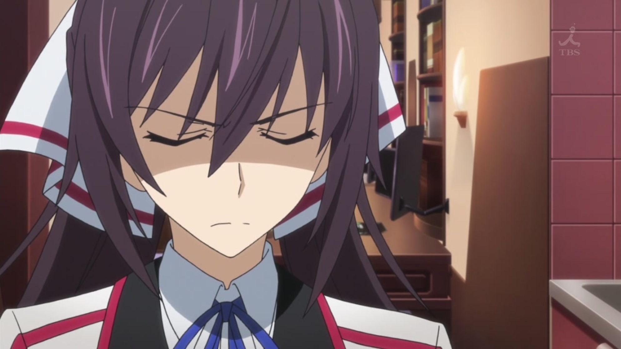Houki Shinonono picture