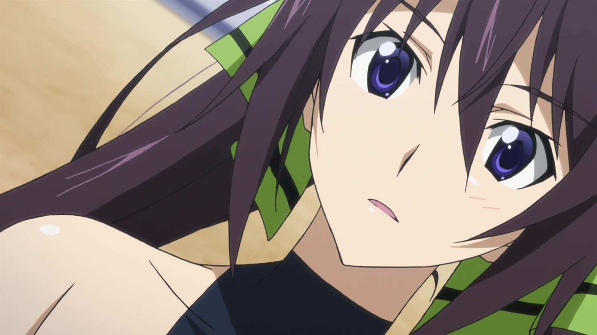 Picture of Houki Shinonono