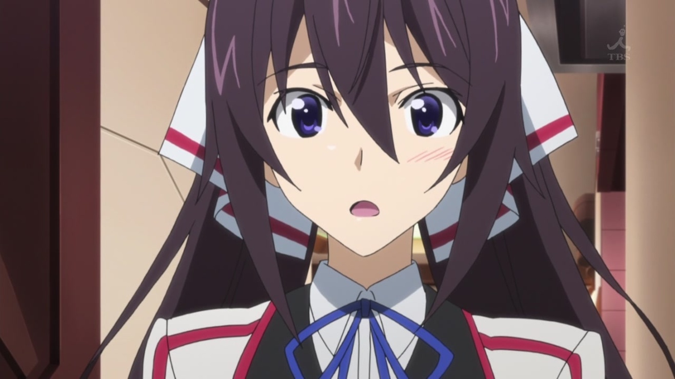 Picture of Houki Shinonono