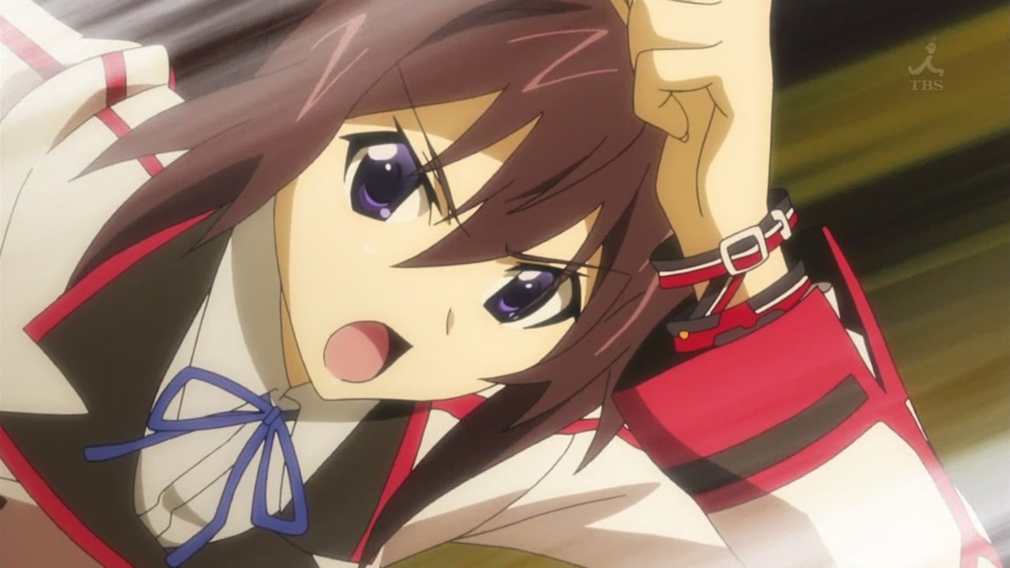 Houki Shinonono picture