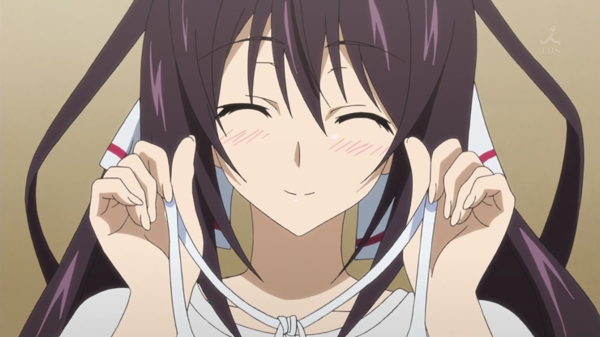 Picture of Houki Shinonono