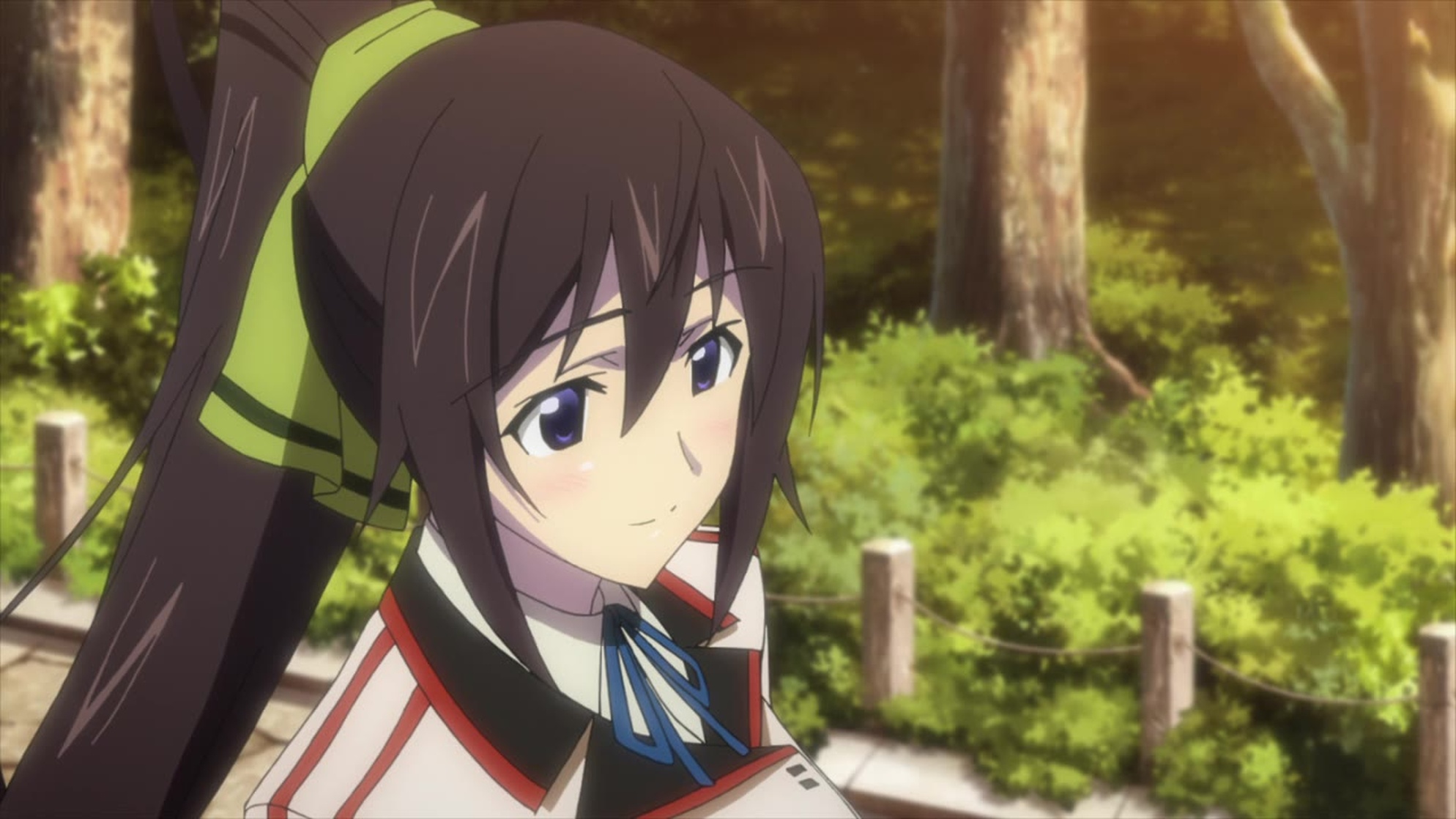 Picture of Houki Shinonono