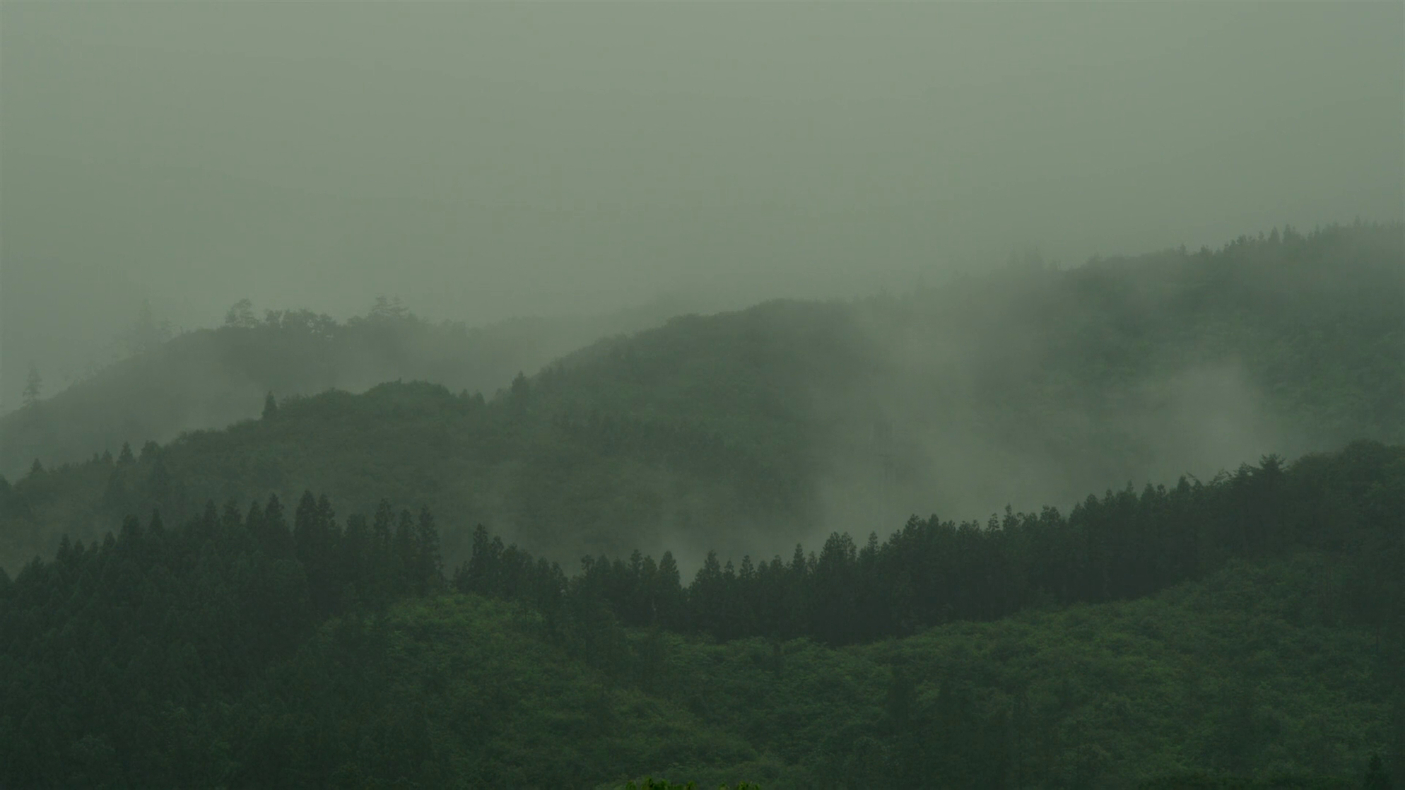 Picture of Little Forest: Summer/Autumn (2014)