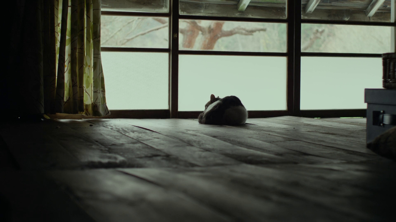Little Forest: Summer/Autumn (2014) picture