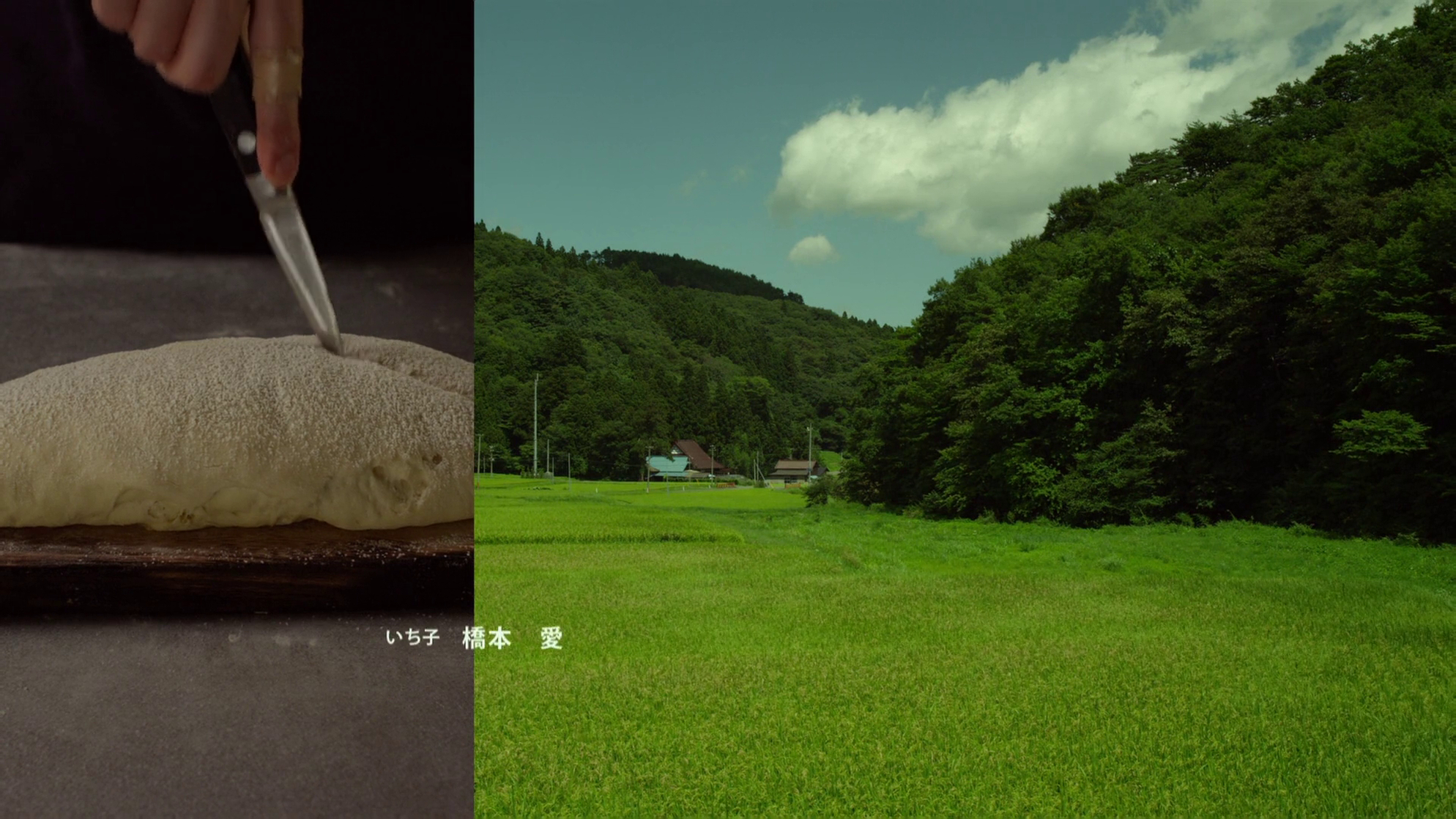 Picture of Little Forest: Summer/Autumn (2014)