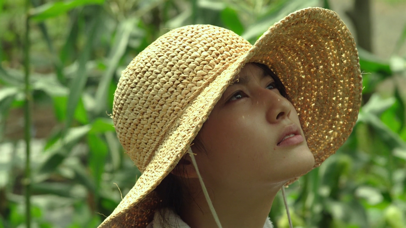 Little Forest: Summer/Autumn (2014) image