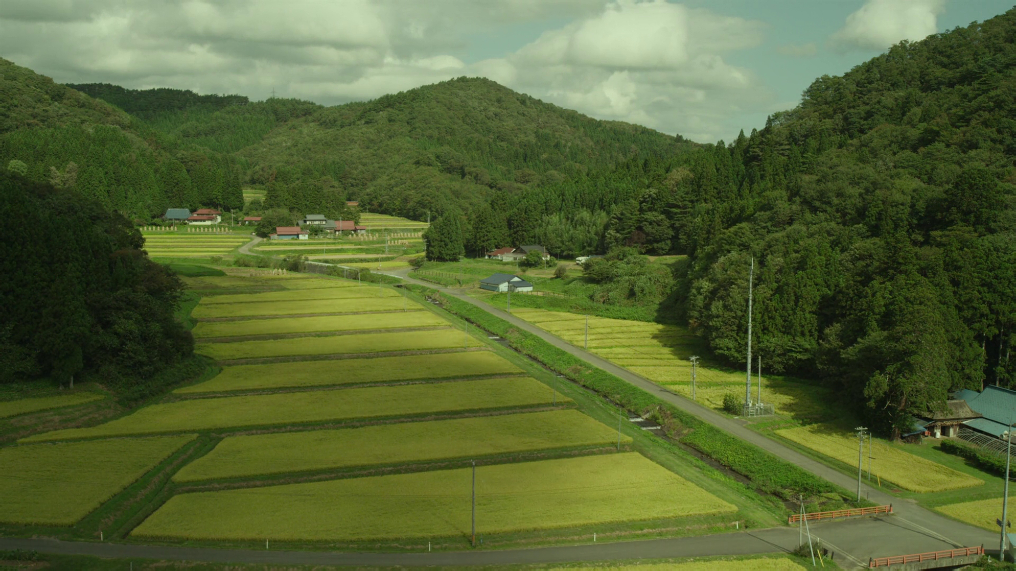 Picture of Little Forest: Summer/Autumn (2014)