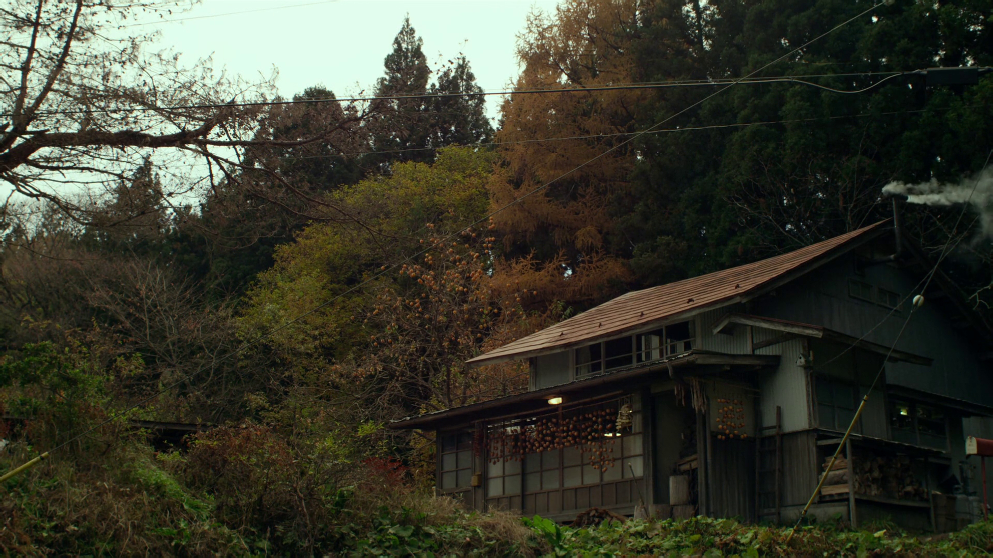 Little Forest: Summer/Autumn (2014) image