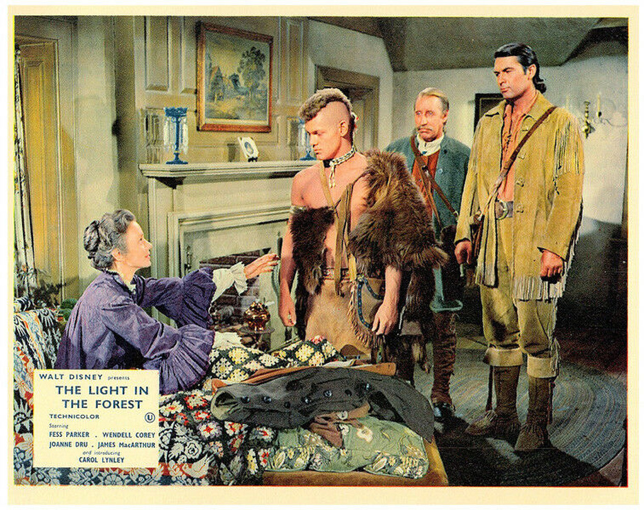 Picture of The Light in the Forest