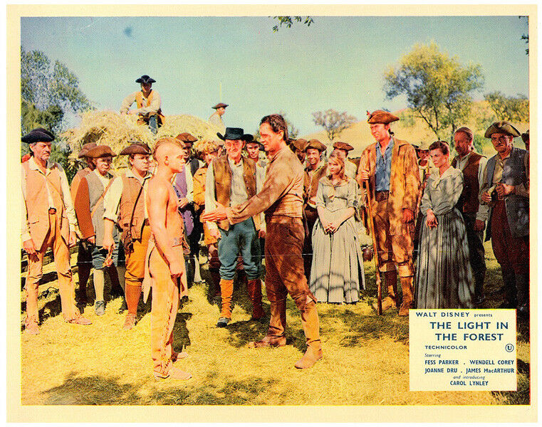 Picture of The Light in the Forest