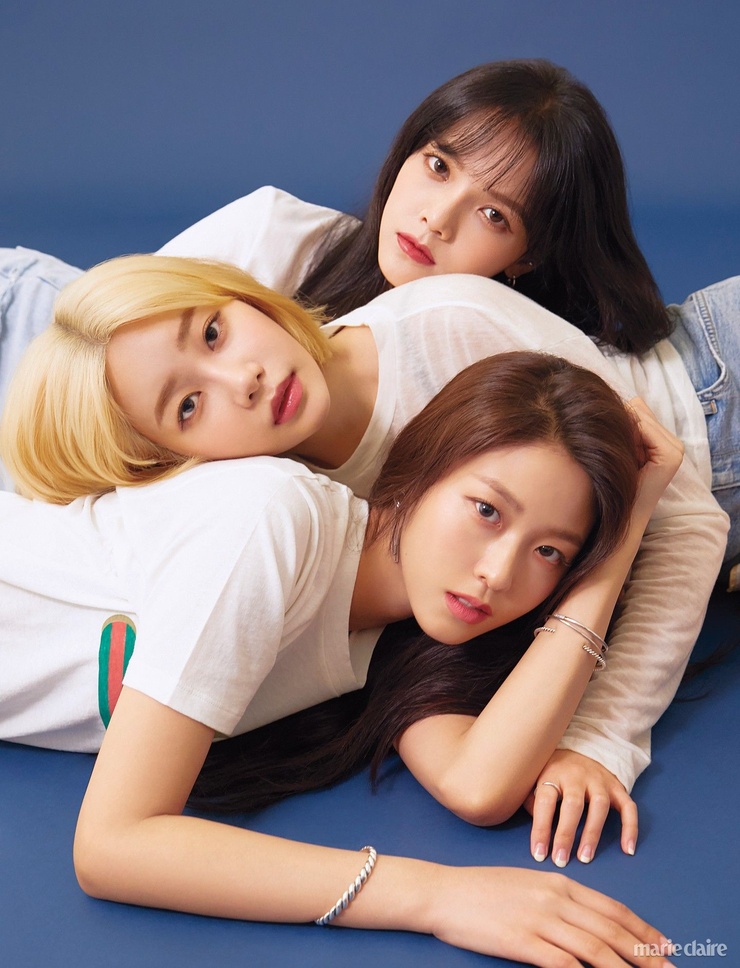 Picture of AOA (band)