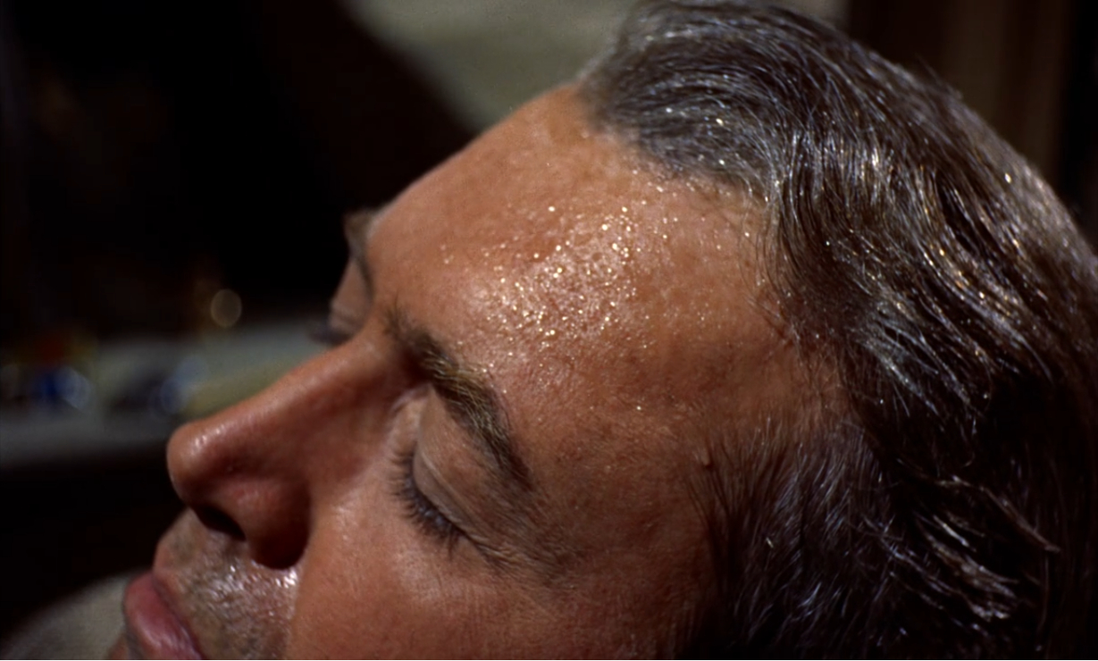 Picture of Rear Window
