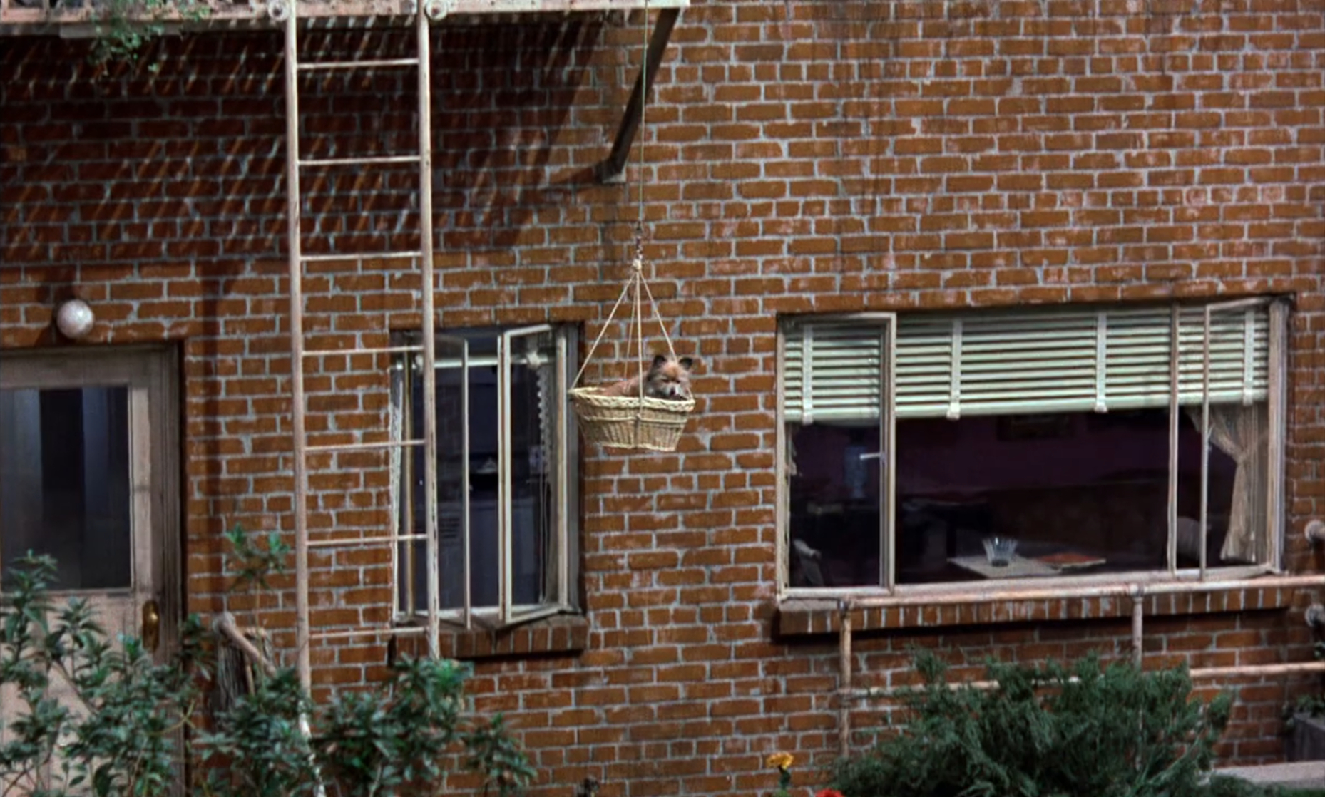 Rear Window (1954) image