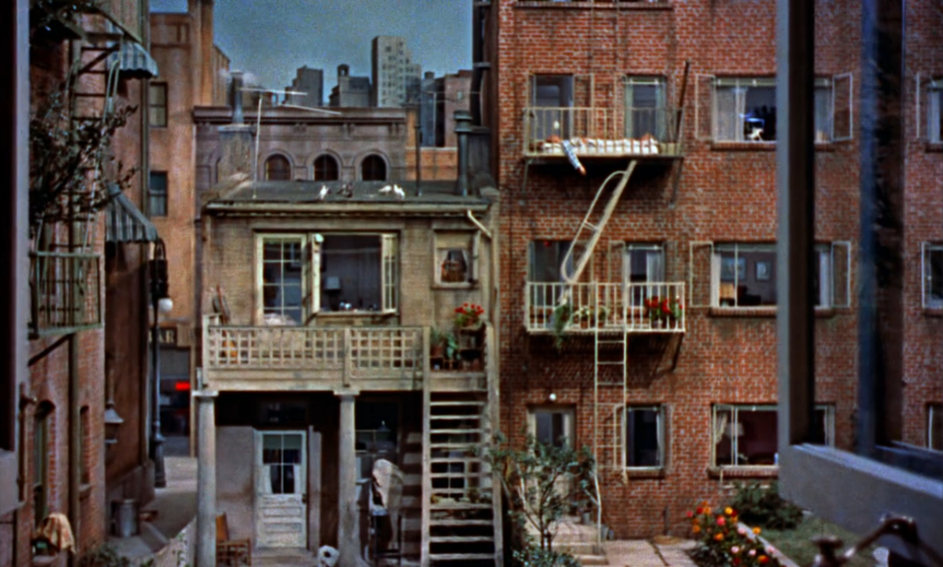 Image of Rear Window