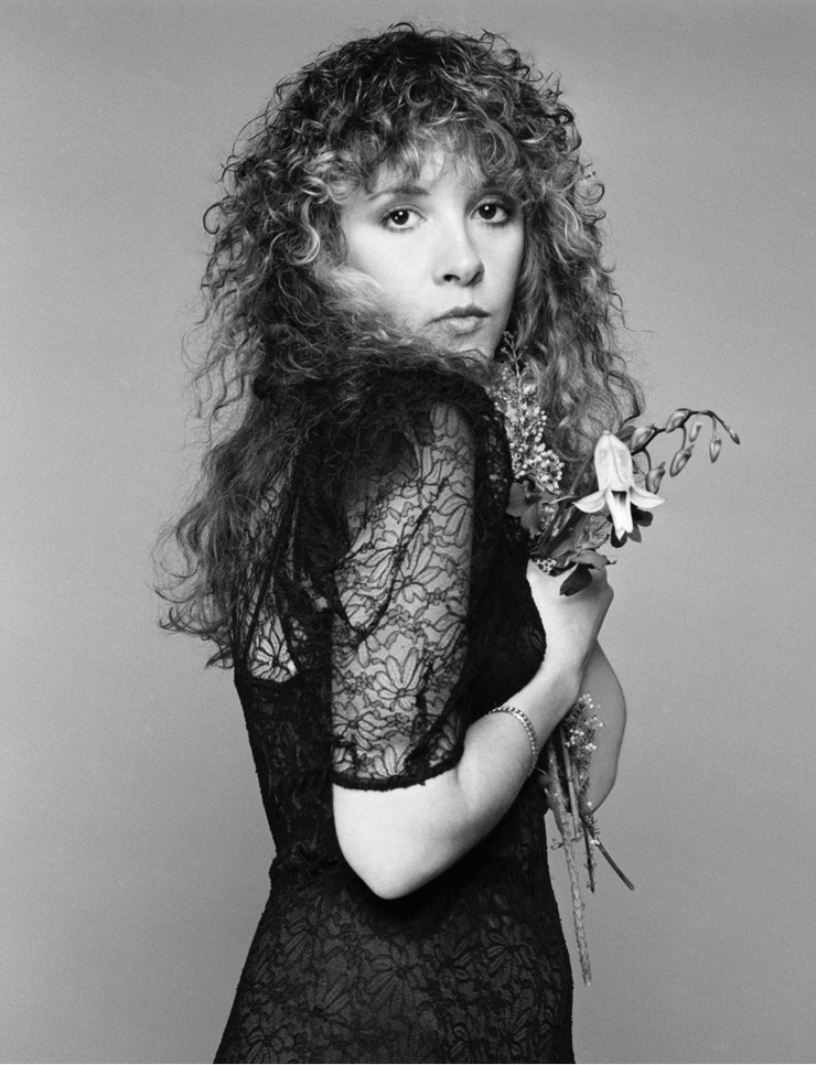 Picture Of Stevie Nicks
