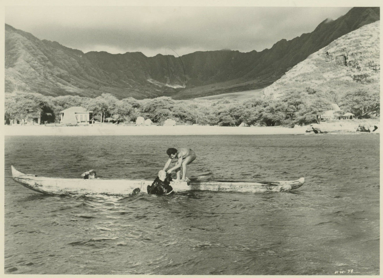 Picture of Hawaii (1966)