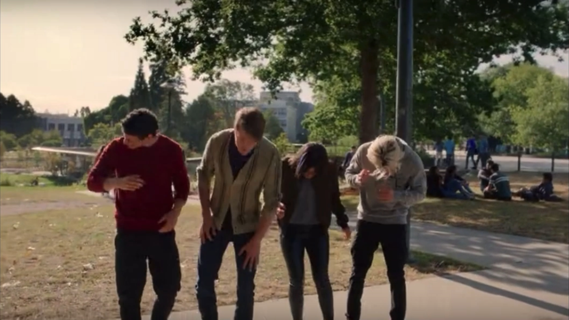 Picture of The Order