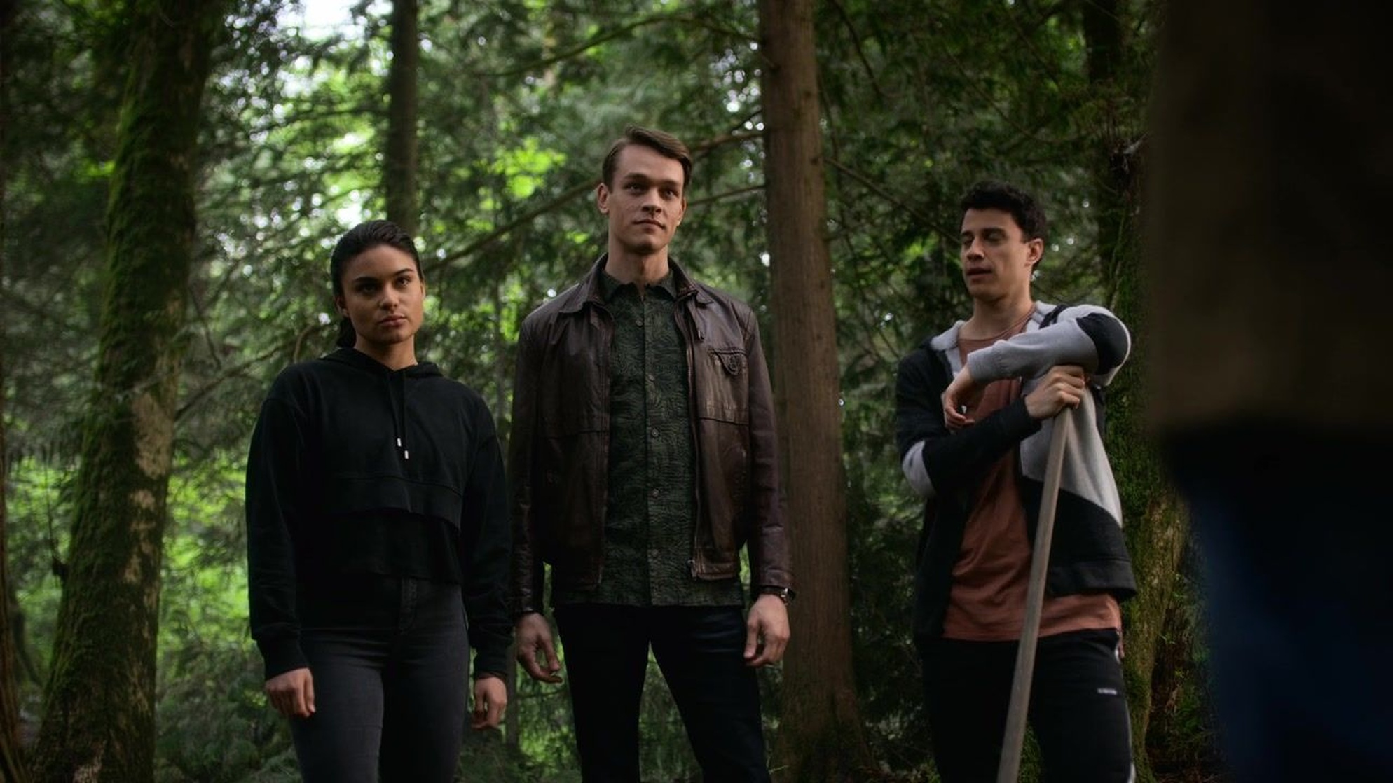 Picture of The Order