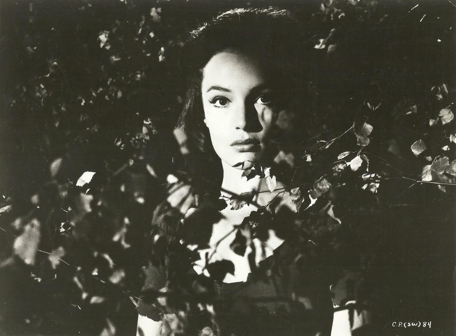Picture of Susan Travers
