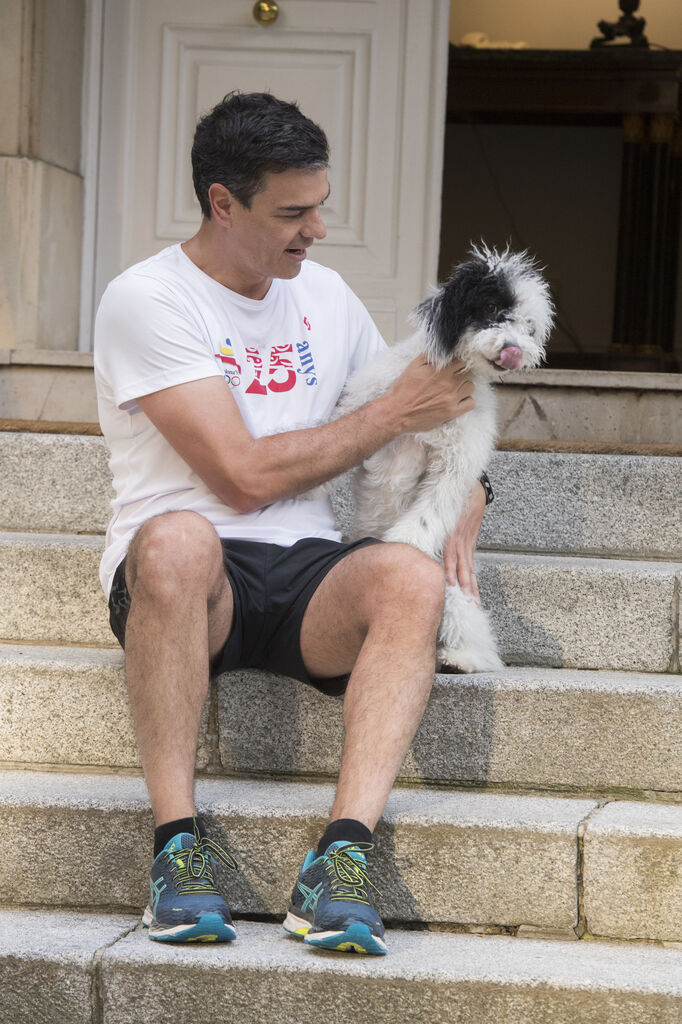 Picture of Pedro Sánchez Pérez-Castejón