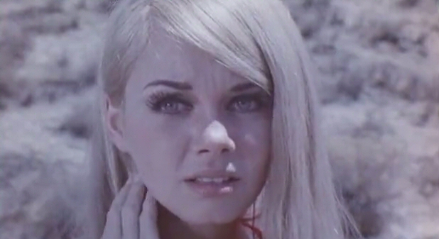 Merci Montello picture