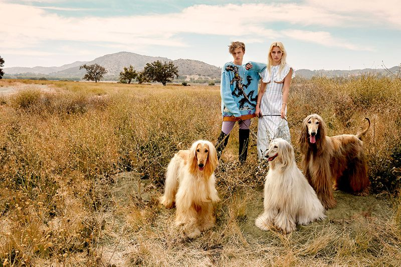 Picture of Pyper America