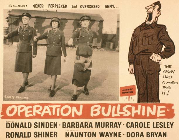 Picture of Operation Bullshine