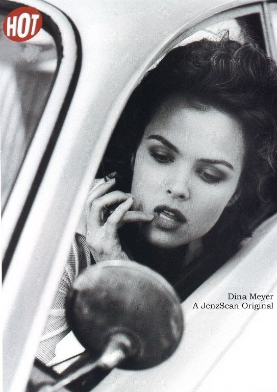 Picture of Dina Meyer