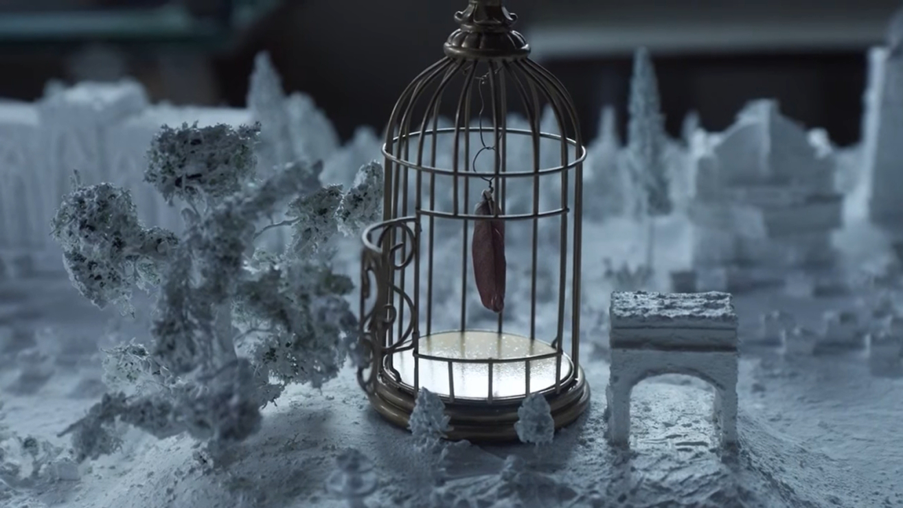 Picture of Little Fires Everywhere