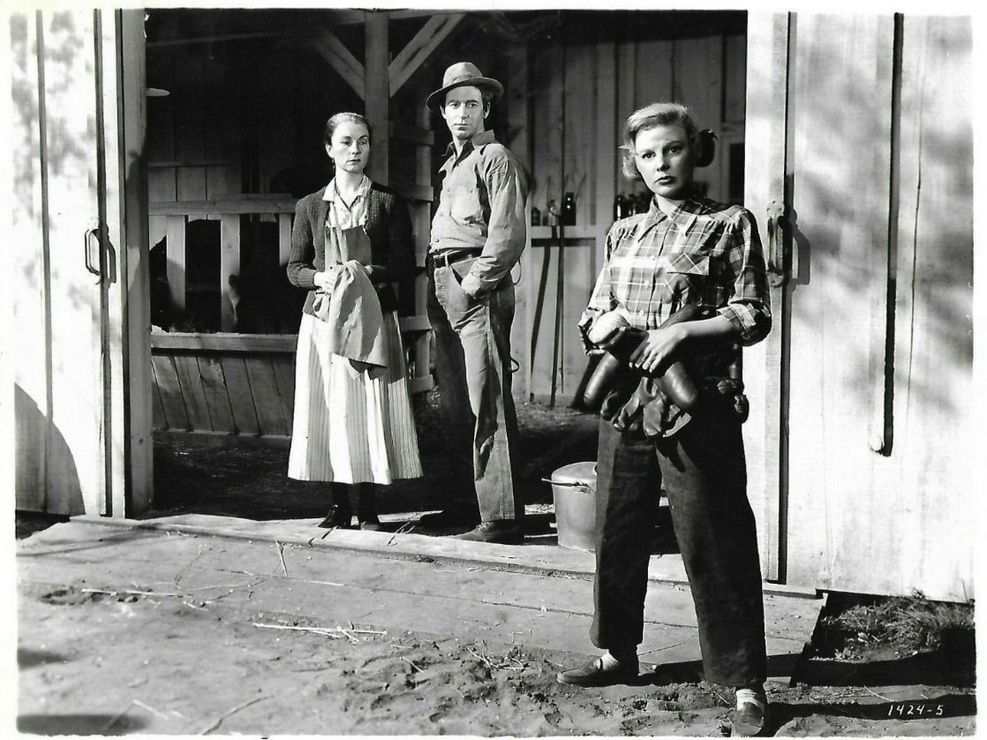 Image of The Stratton Story (1949)