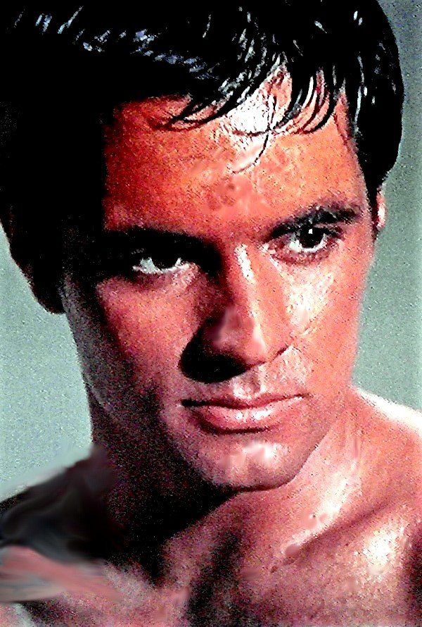 Picture of John Gavin