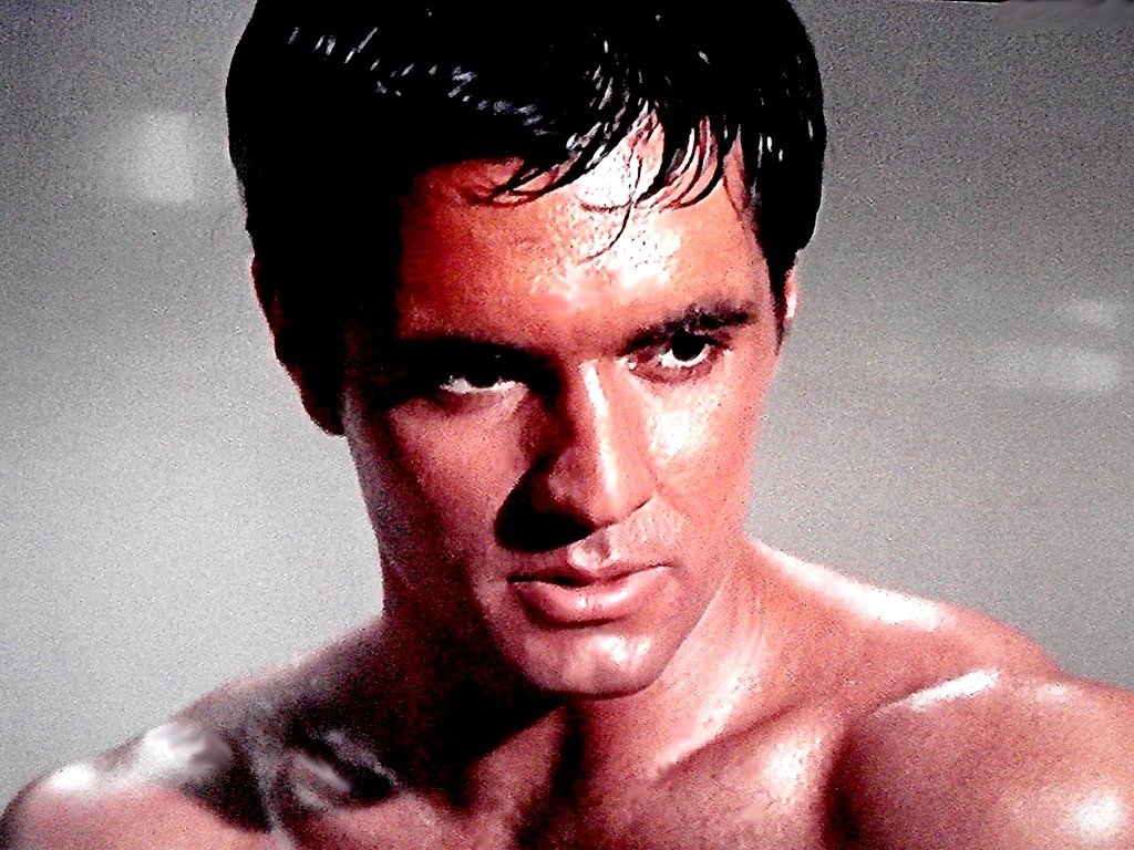 Picture of John Gavin