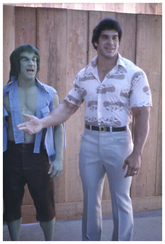 Lou Ferrigno