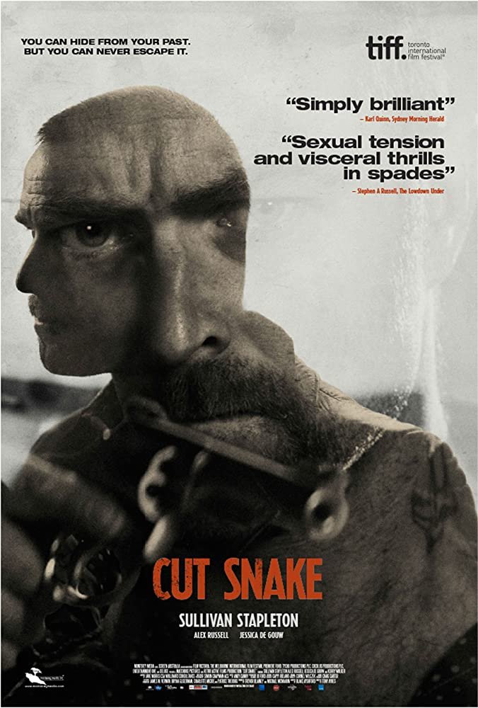 Picture of Cut Snake