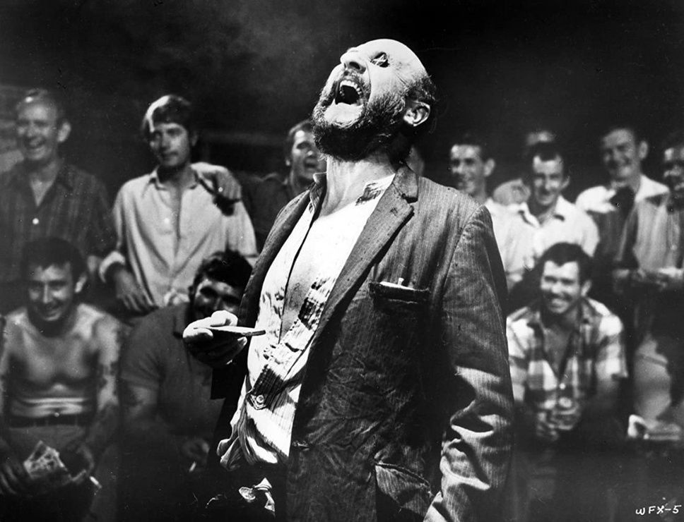 Picture of Wake in Fright