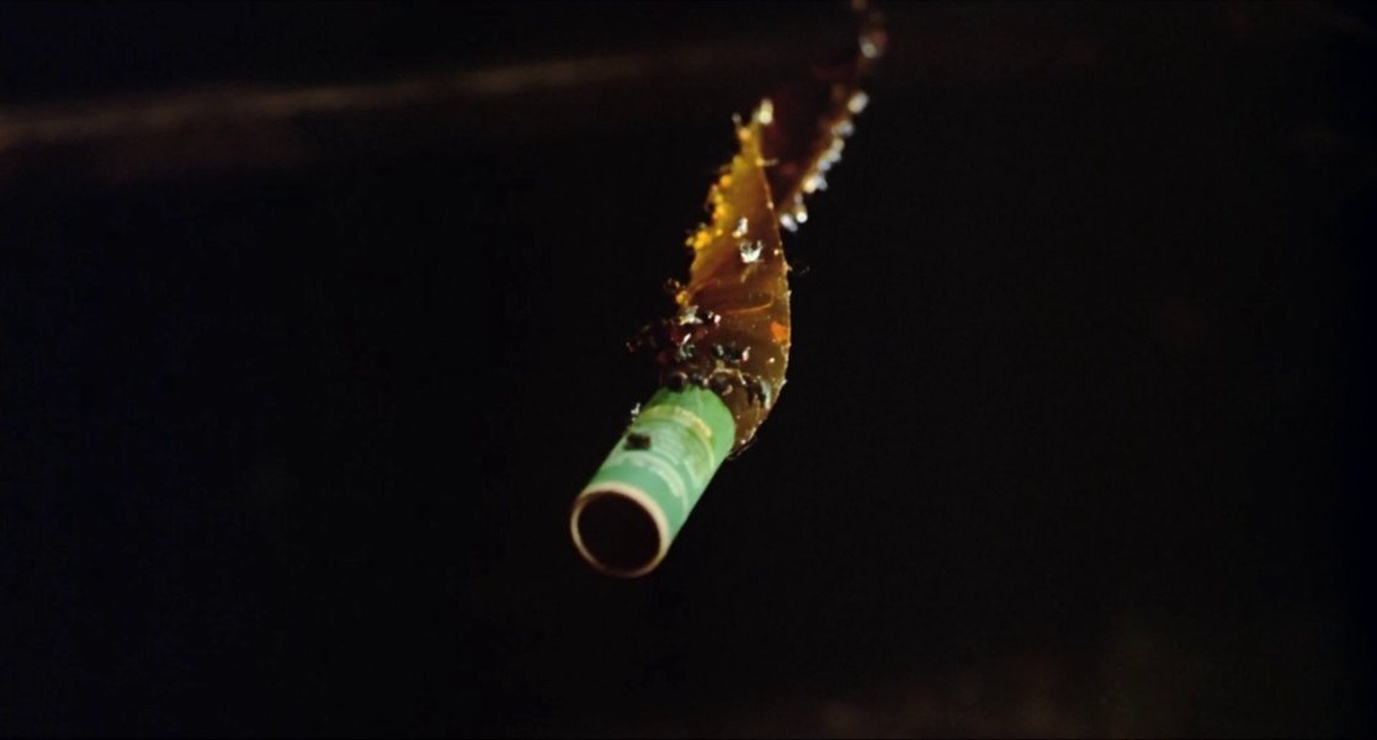 Picture of Wake in Fright