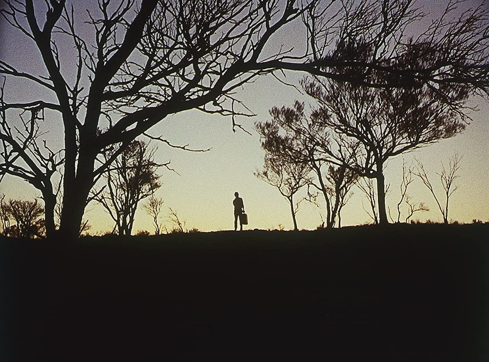 Picture of Wake in Fright